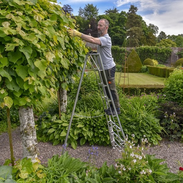 Adjustable Tripod Fruit Ladder